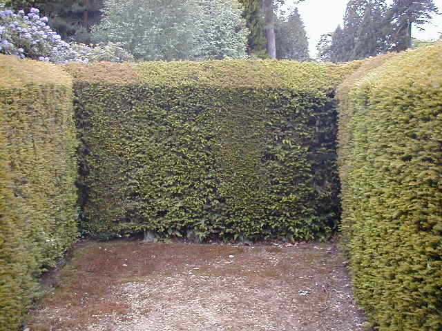 DiscSpace - Visual Records Department